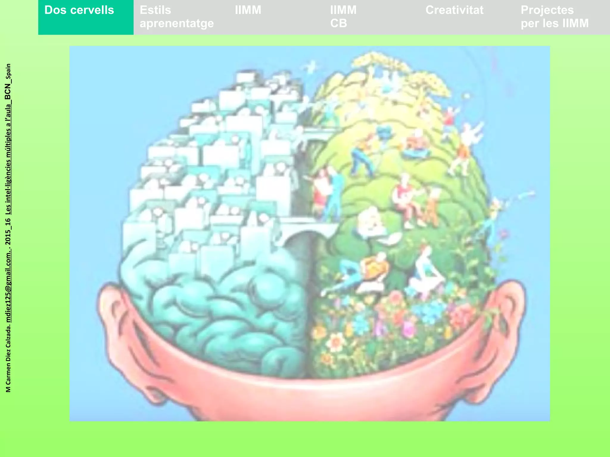 Brain. Multiple intelligences | PPT