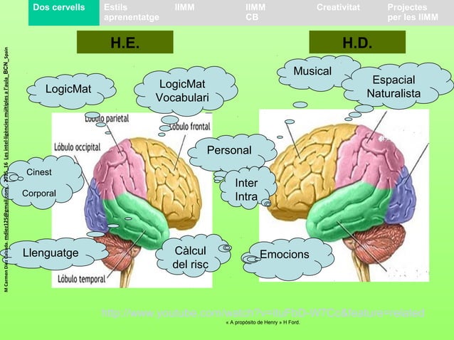 Brain. Multiple intelligences | PPT