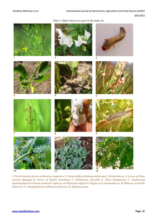 Insect pest diversity of standing crops and traditional pest management ...