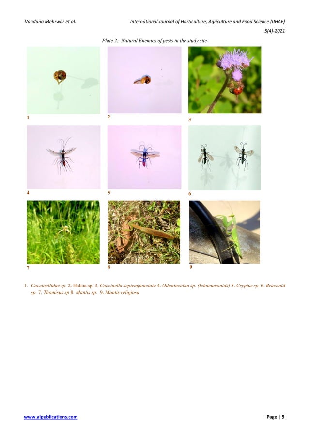 Insect pest diversity of standing crops and traditional pest management ...