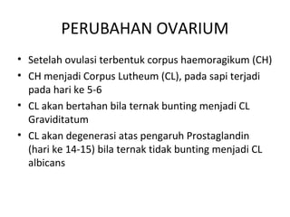 1 ilmu repro kebuntingan | PPT