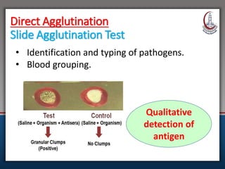 1_Immunological_Lab_Techniques_Antigen_Antibody_24Reactions_part1.pdf