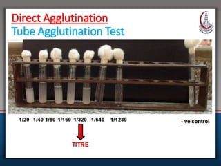 1_Immunological_Lab_Techniques_Antigen_Antibody_24Reactions_part1.pdf