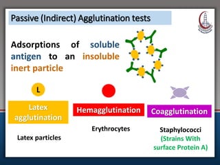 1_Immunological_Lab_Techniques_Antigen_Antibody_24Reactions_part1.pdf
