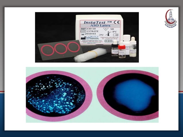 1_Immunological_Lab_Techniques_Antigen_Antibody_24Reactions_part1.pdf