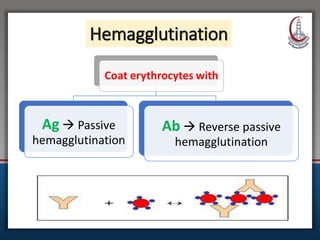 1_Immunological_Lab_Techniques_Antigen_Antibody_24Reactions_part1.pdf