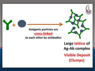 1_Immunological_Lab_Techniques_Antigen_Antibody_24Reactions_part1.pdf