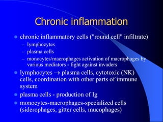 inflammation terminology, mechanism,.ppt
