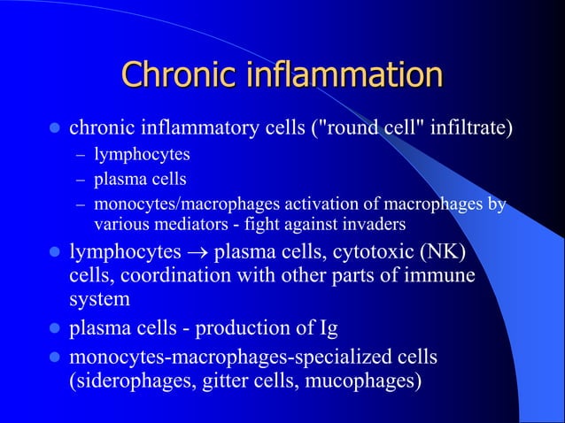 inflammation terminology, mechanism,.ppt