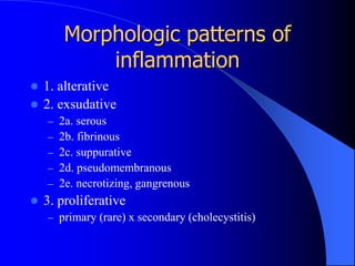 inflammation terminology, mechanism,.ppt
