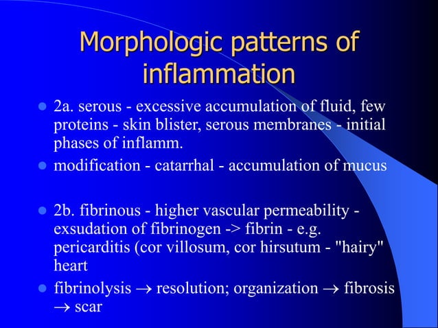 inflammation terminology, mechanism,.ppt