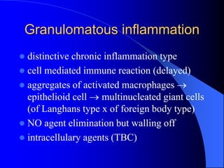 inflammation terminology, mechanism,.ppt