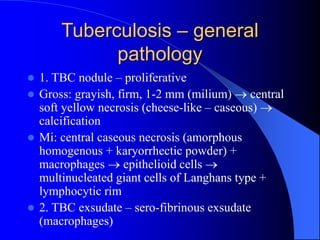 inflammation terminology, mechanism,.ppt