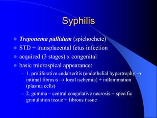 inflammation terminology, mechanism,.ppt