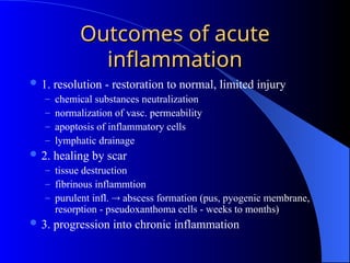 1inflammation is seen in infection acute and chronic etc | PPT