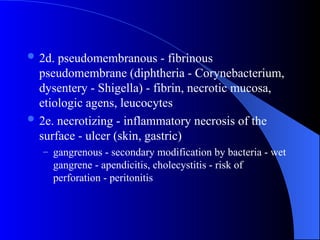 1inflammation is seen in infection acute and chronic etc | PPT