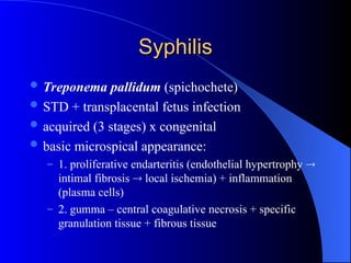 1inflammation is seen in infection acute and chronic etc | PPT