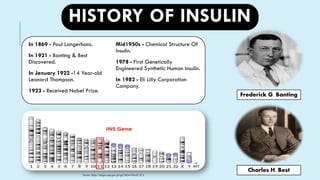 Insulin / Recombinant DNA Technique / Peptide Hormone | PDF