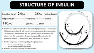 Insulin / Recombinant DNA Technique / Peptide Hormone | PDF