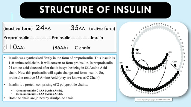 Insulin / Recombinant DNA Technique / Peptide Hormone | PPT