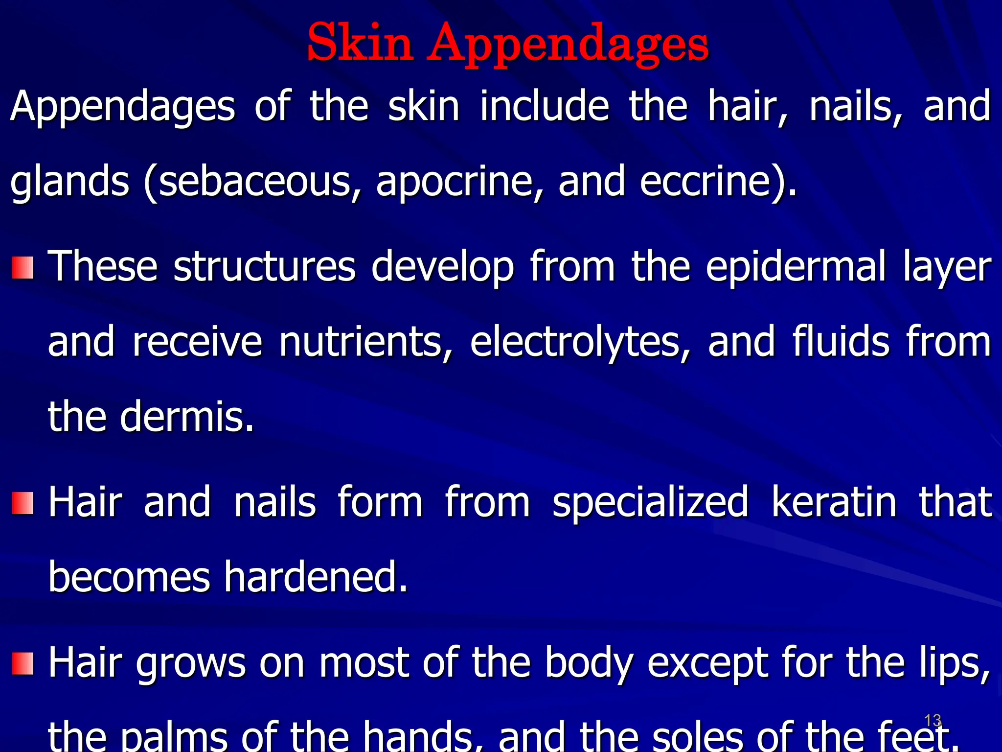 1 INTEGUMENTARY SYSTEM-June 2023.pptx