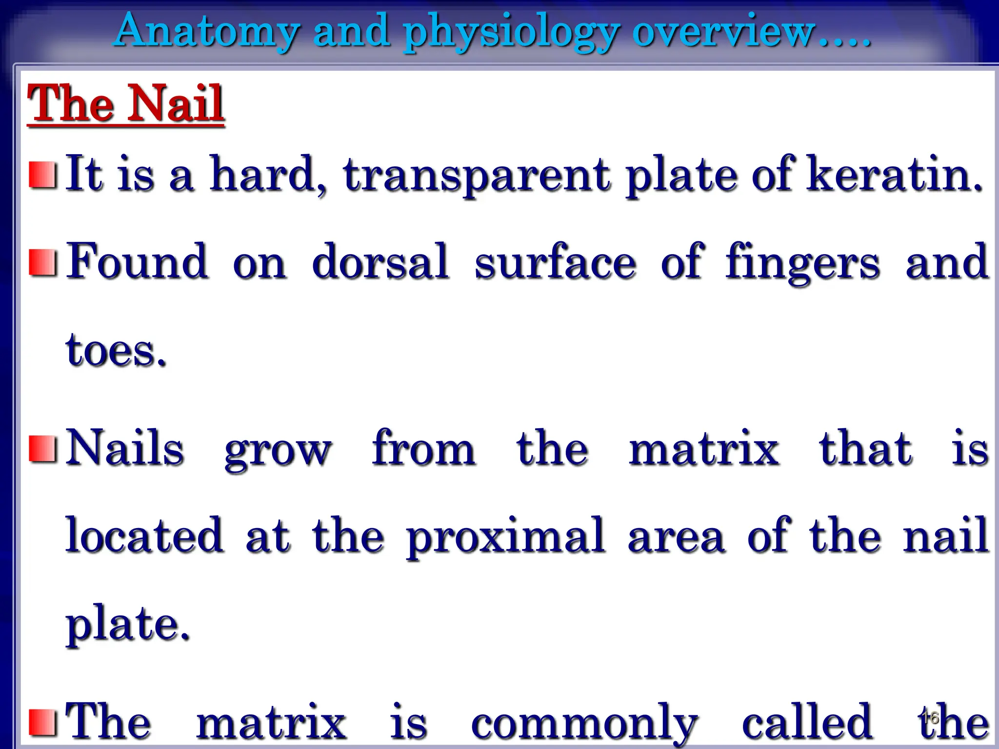 1 INTEGUMENTARY SYSTEM-June 2023.pptx