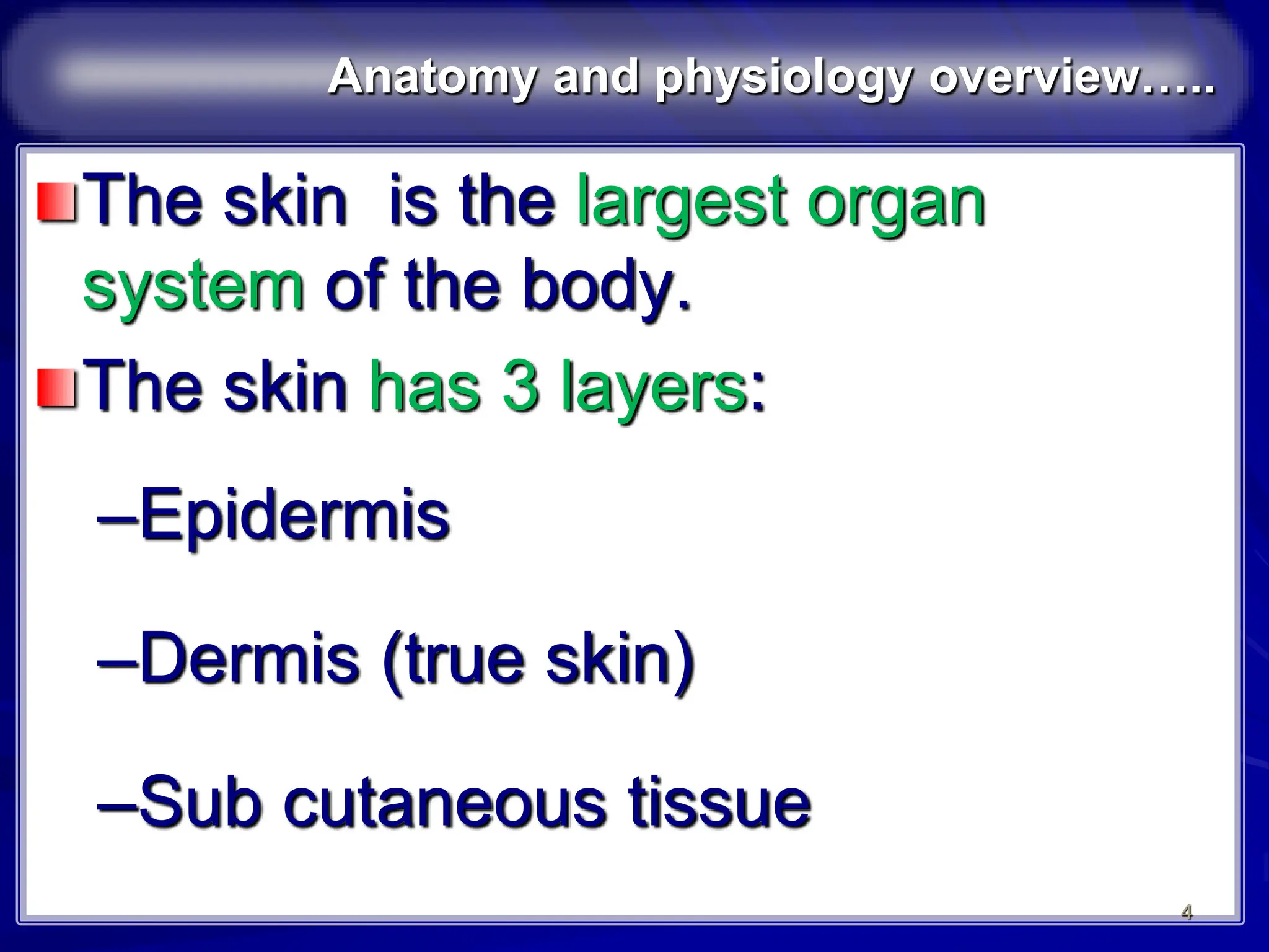 1 INTEGUMENTARY SYSTEM-June 2023.pptx