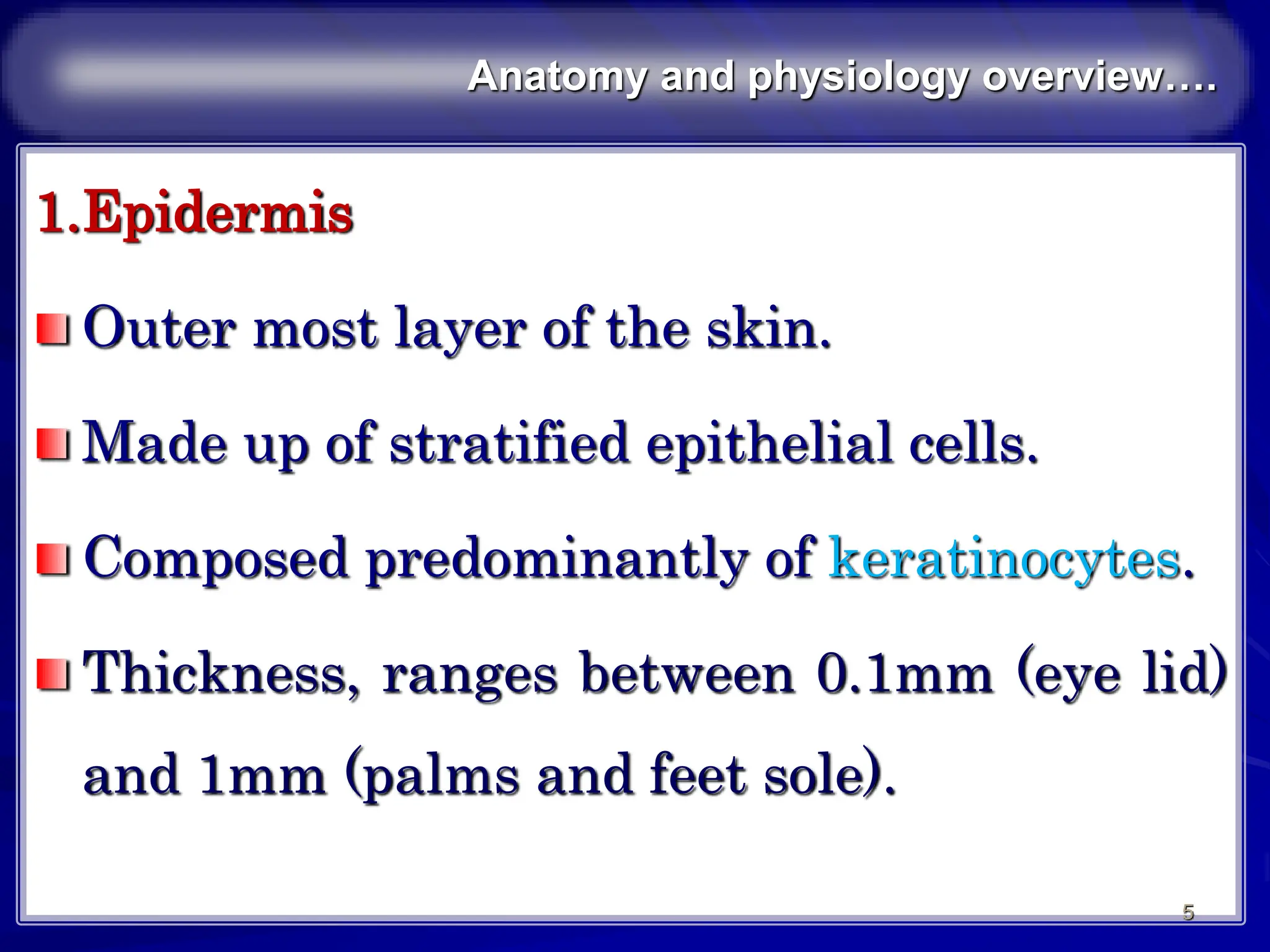 1 INTEGUMENTARY SYSTEM-June 2023.pptx
