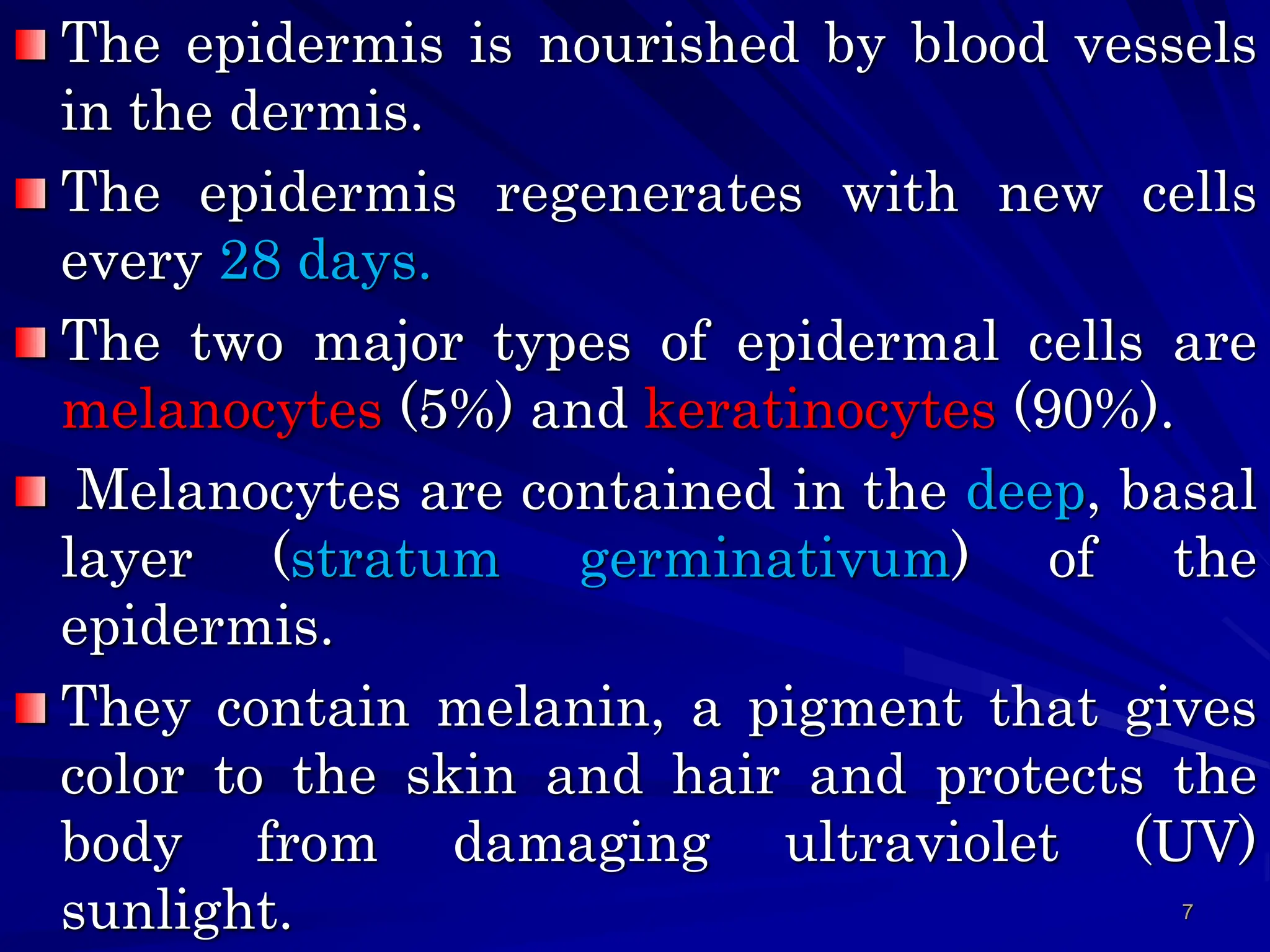 1 INTEGUMENTARY SYSTEM-June 2023.pptx