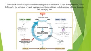 1 intestine and Hepar response to trauma.pptx