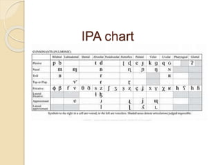 1 introduction to phonetics and phonology | PPTX