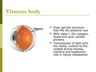 Fundamentals of Opthalmology (Anatomy and diagnostic testing) | PPT