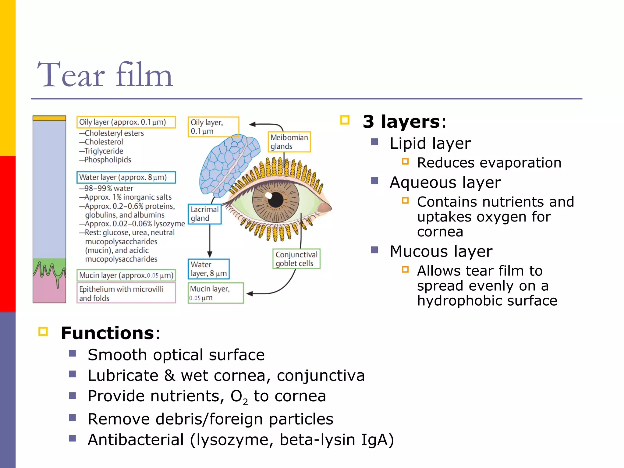 Introduction to Ophthalmology | PPT