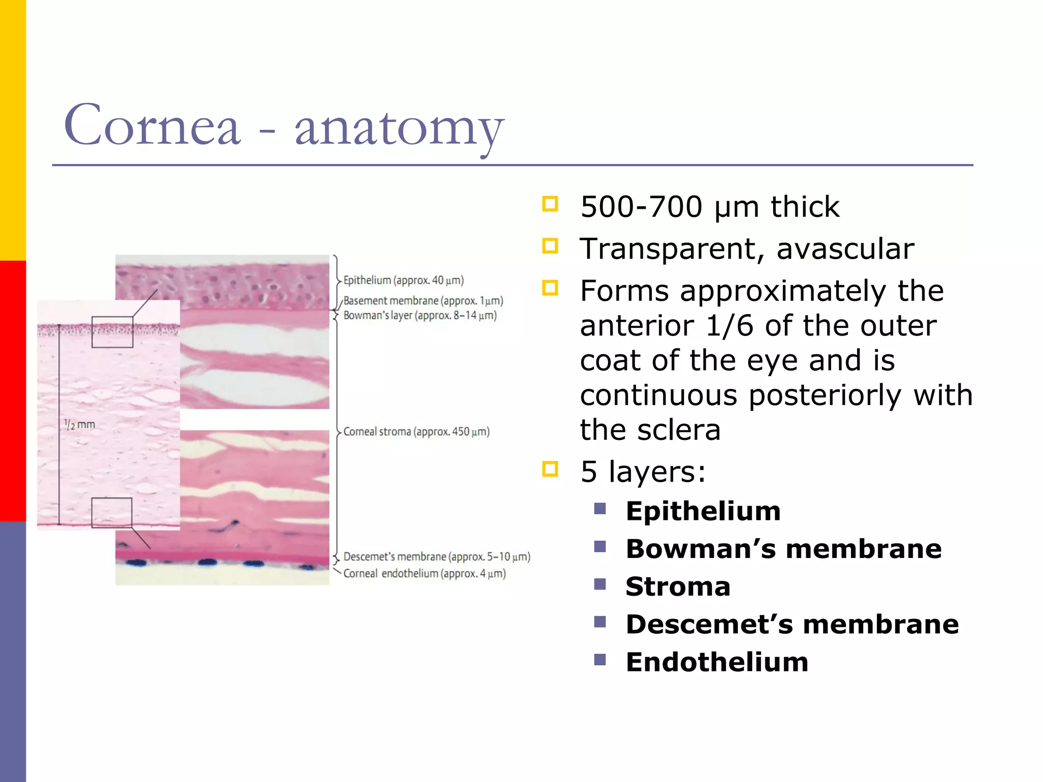 Introduction to Ophthalmology | PPT