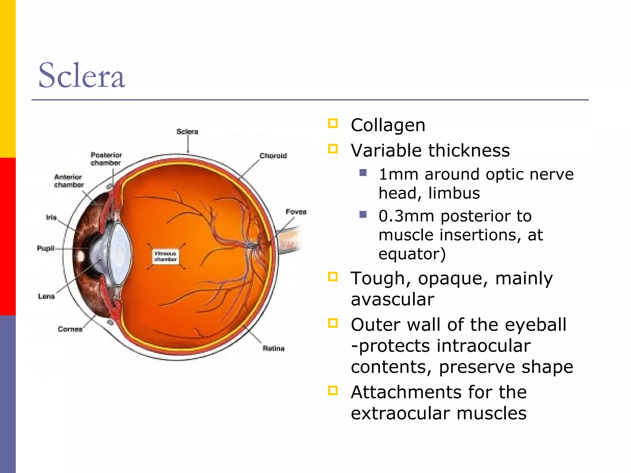 Introduction to Ophthalmology | PPT