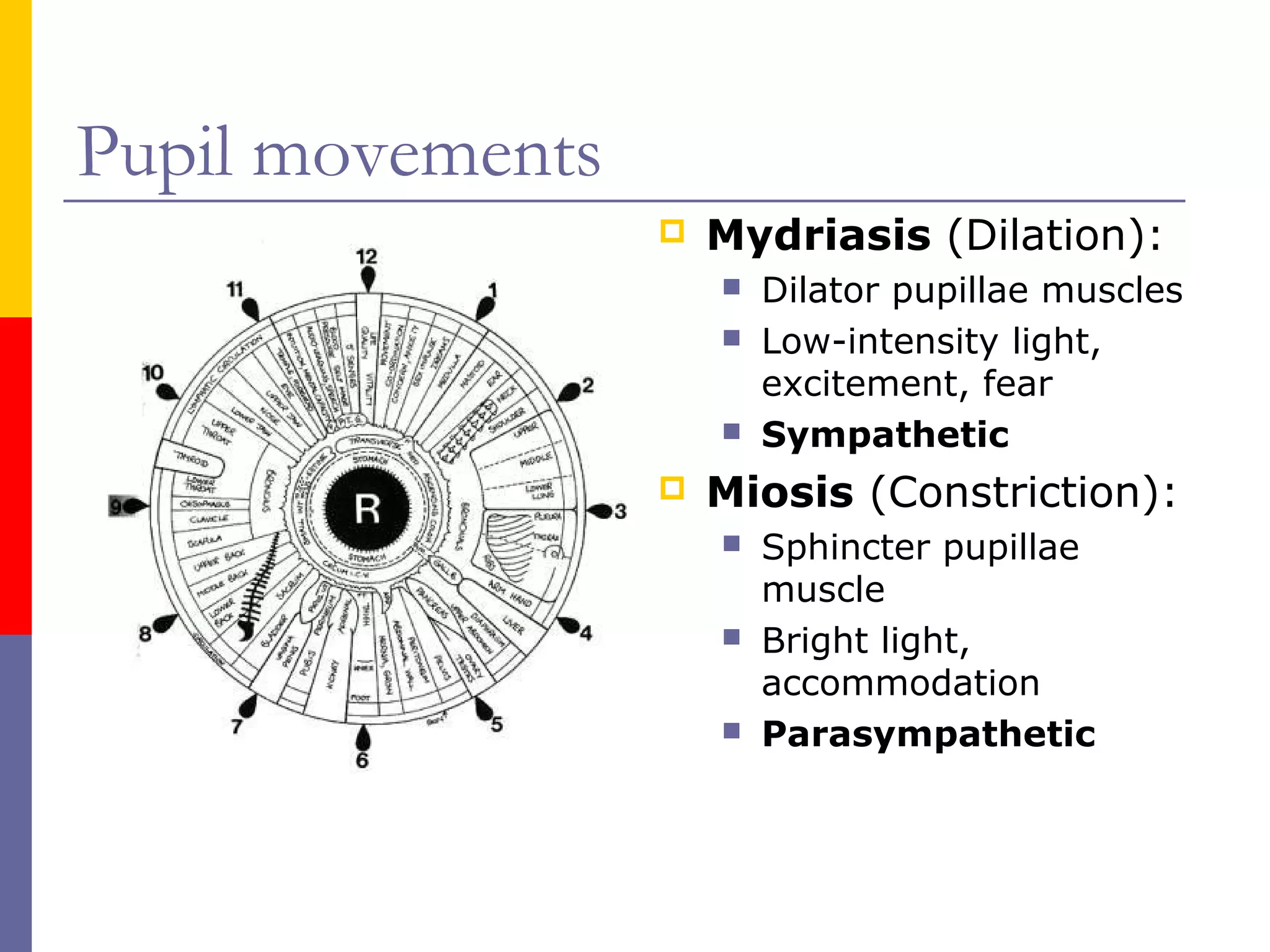 Introduction to Ophthalmology | PPT