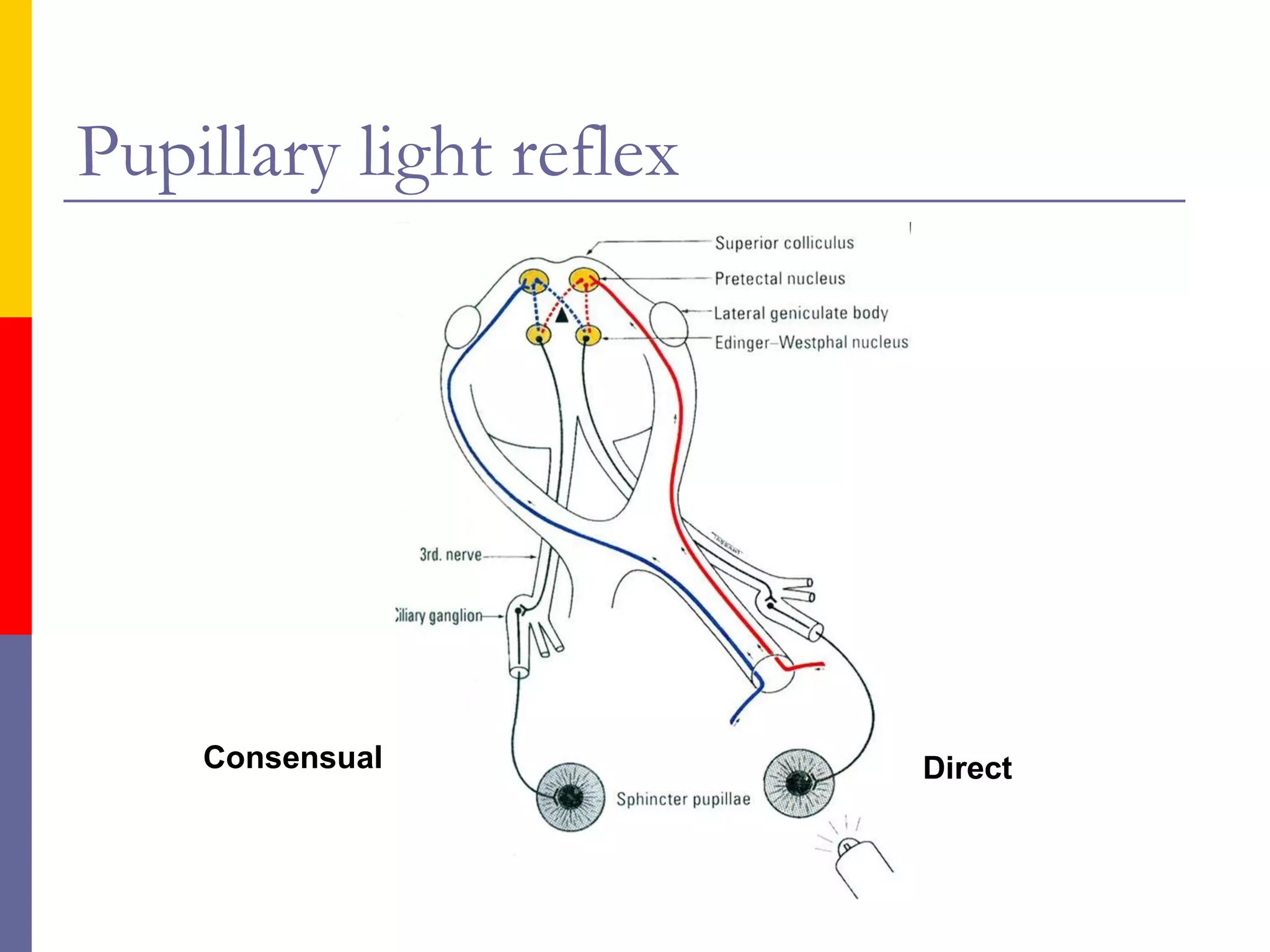 Introduction to Ophthalmology | PPT