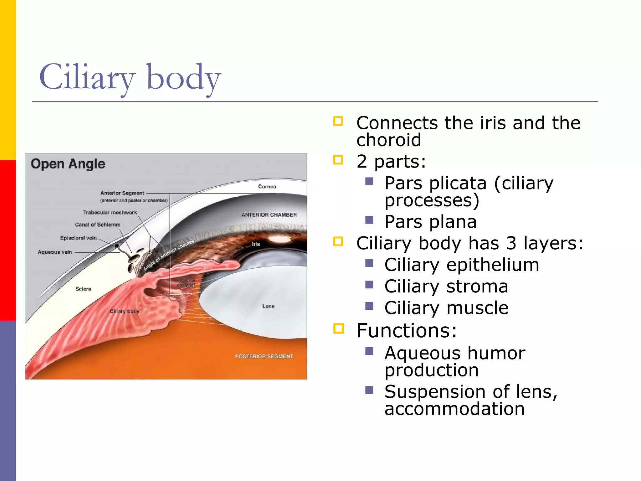 Introduction to Ophthalmology | PPT