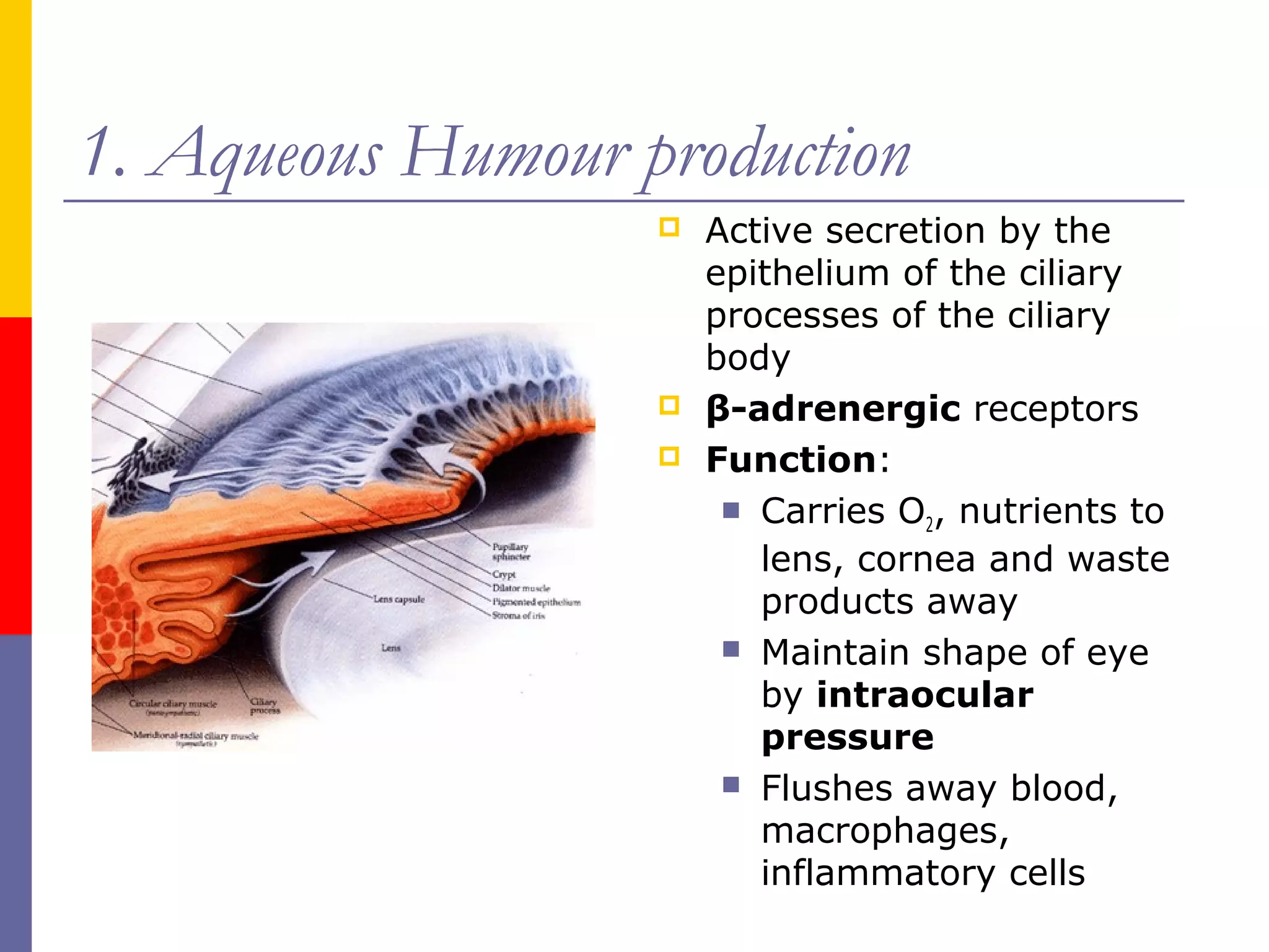 Introduction to Ophthalmology | PPT