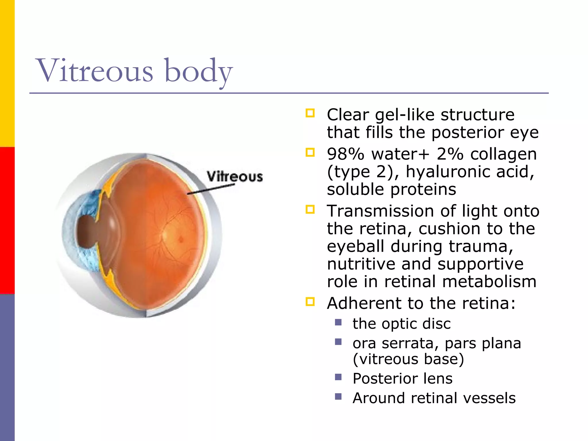 Introduction to Ophthalmology | PPT
