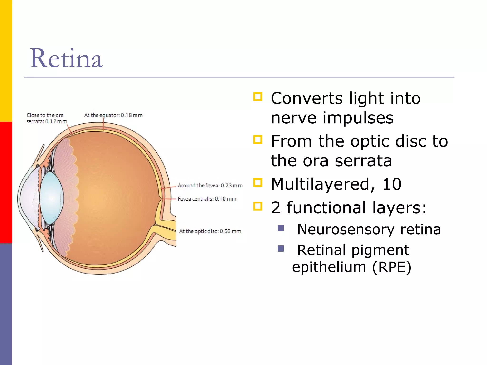 Introduction to Ophthalmology | PPT