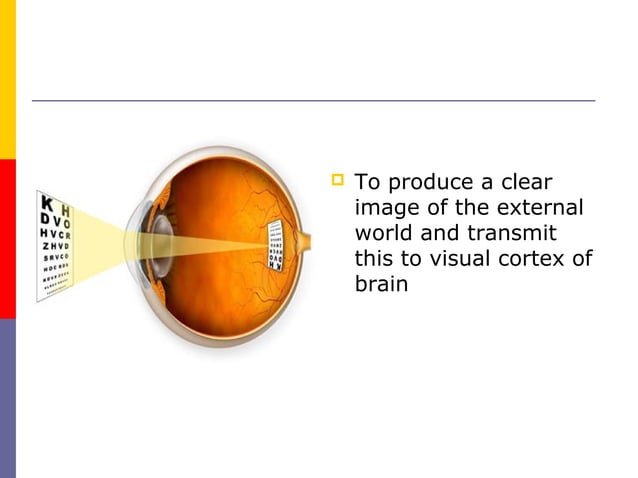 Introduction to Ophthalmology | PPT