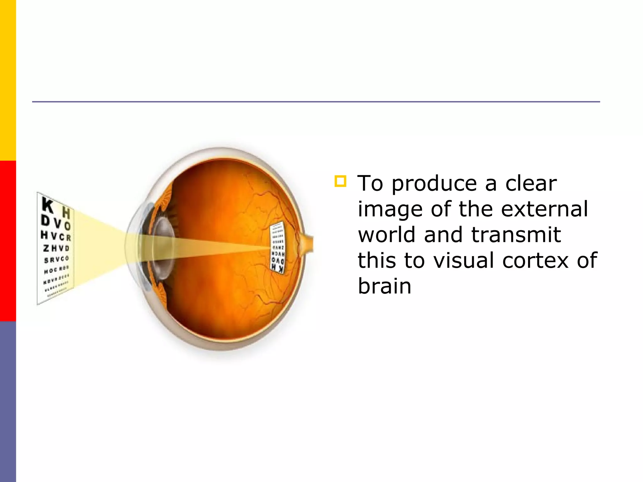 Introduction to Eye | PPT