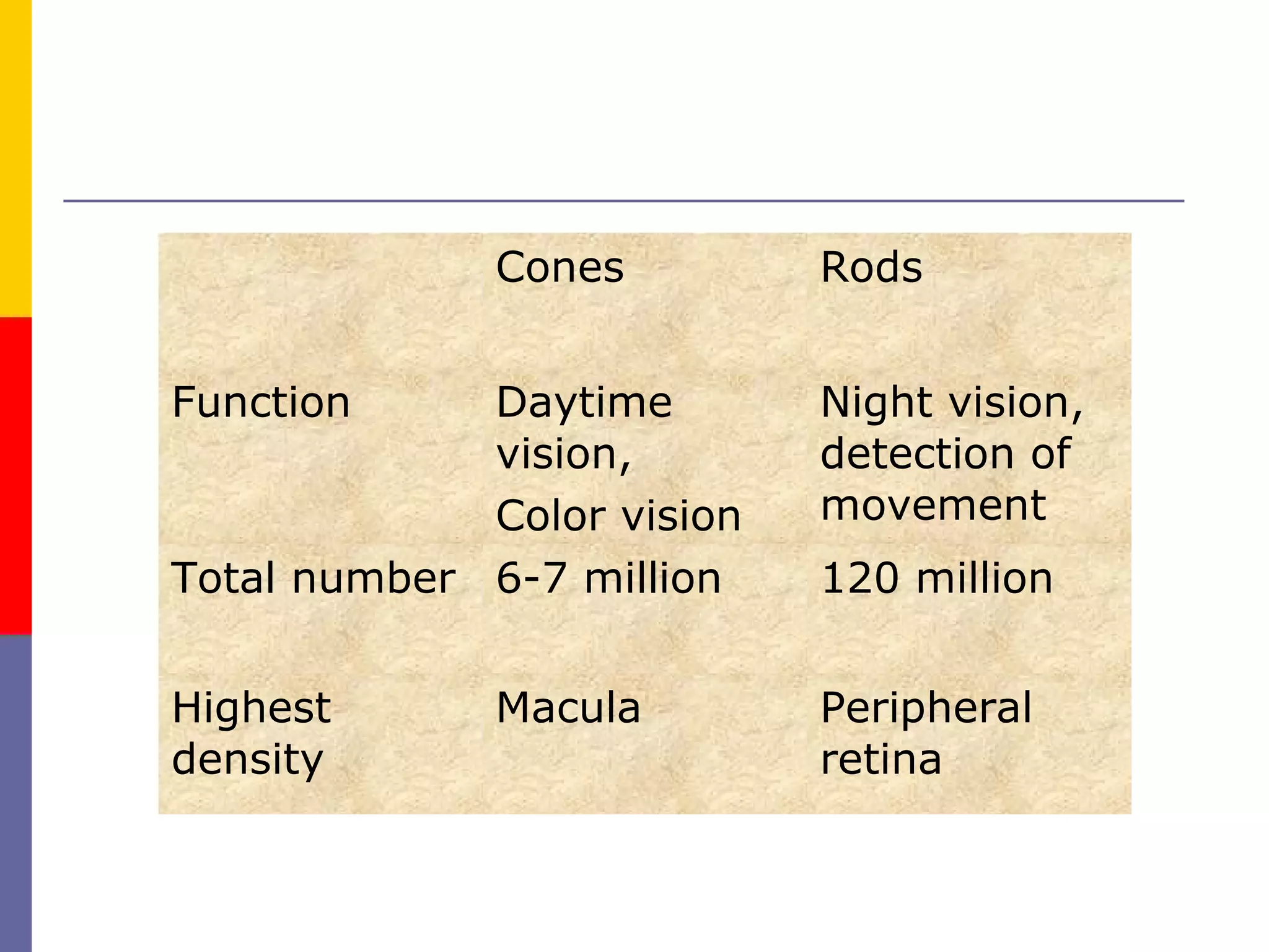Introduction to Eye | PPT