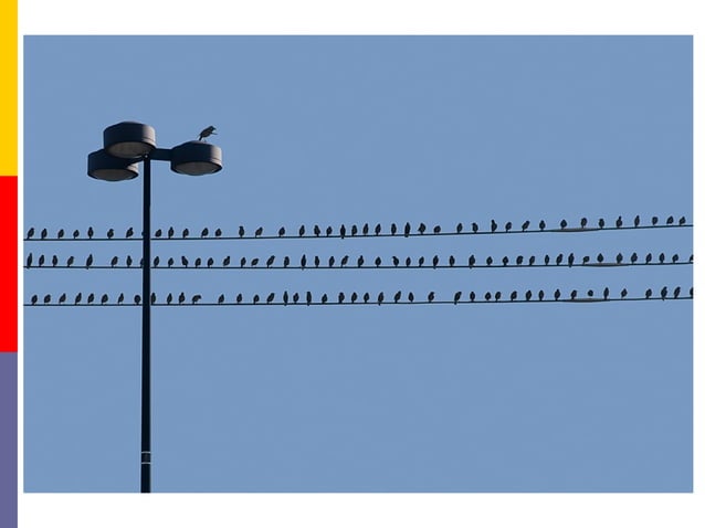 Introduction to Eye | PPT