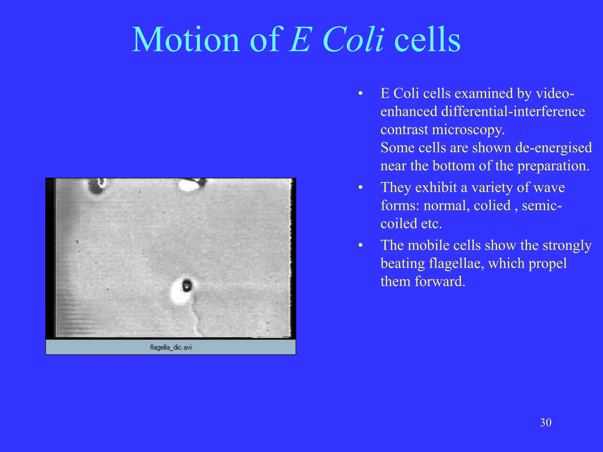 1 Intro and viscosity.ppt viscosity intro | PPT