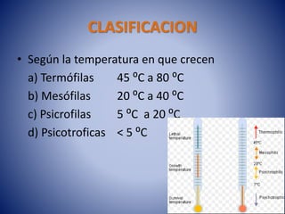 1 Introduccion a la Microbiologia.pptx