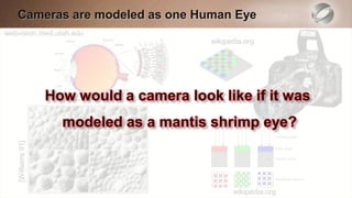 SIGGRAPH 2012 Computational Plenoptic Imaging Course - 1 Introduction | PPTX | Cameras and ...