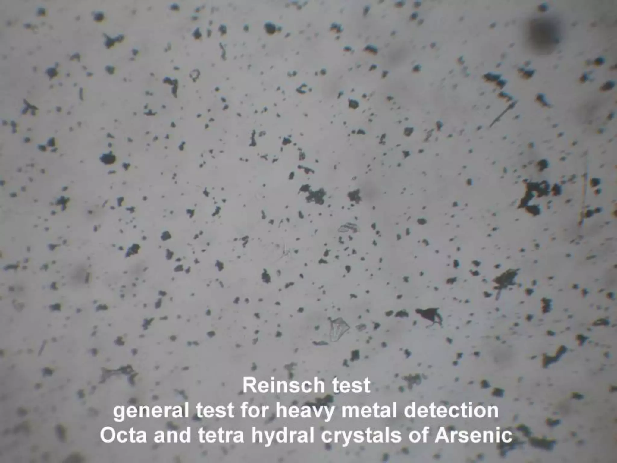 INTRODUCTION TO TOXICOLOGY | PPTX