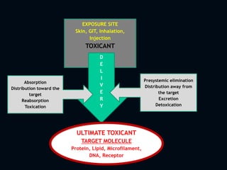 INTRODUCTION TO TOXICOLOGY | PPTX